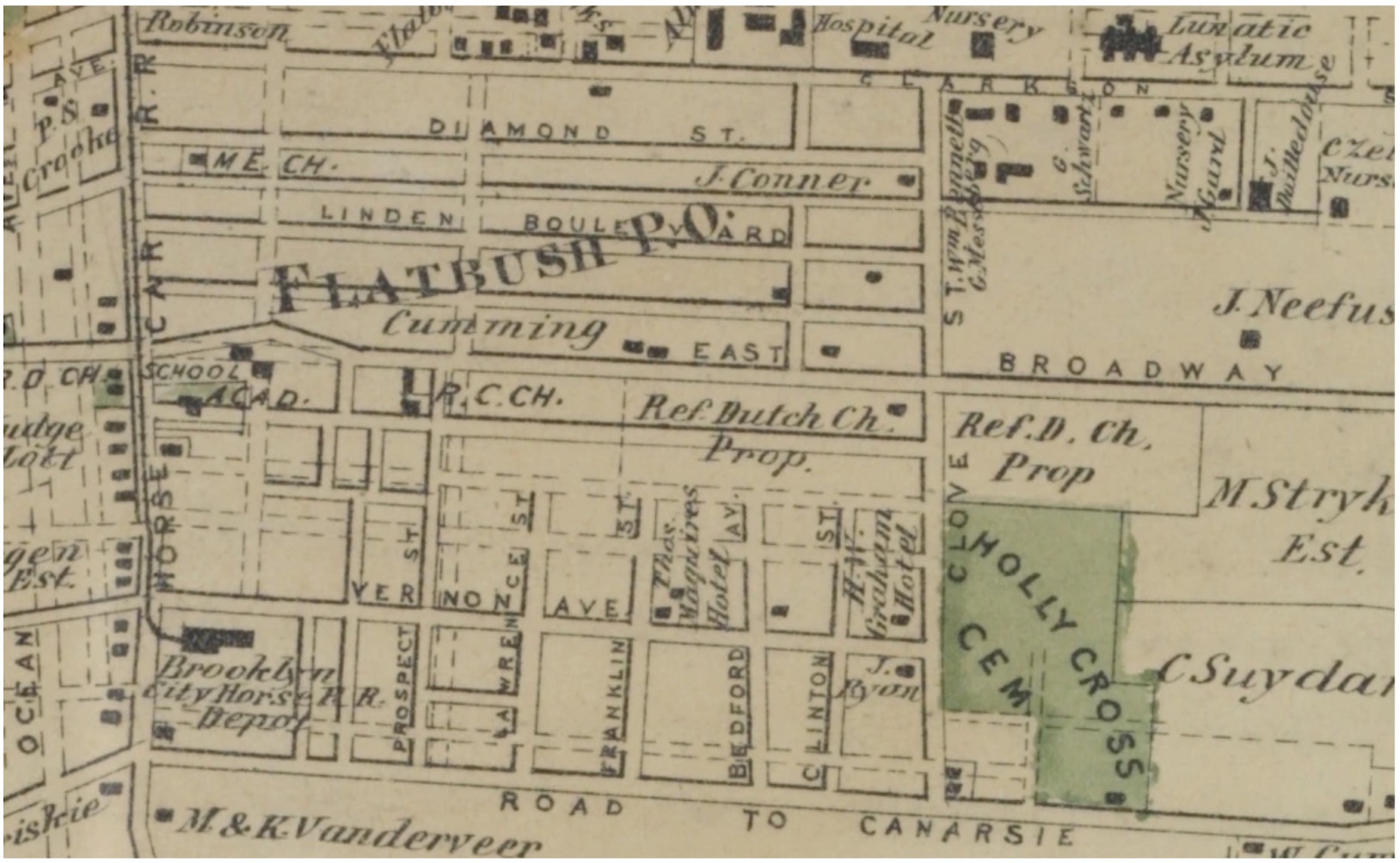 Flatbush, Brooklyn - Public Sentiment